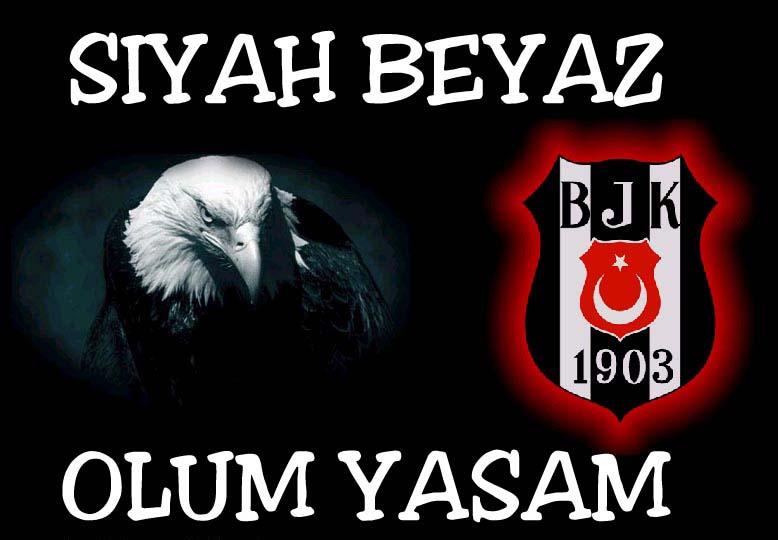 BJK - Fotoğraf Albümü - BilgiVakti Forum Portalı